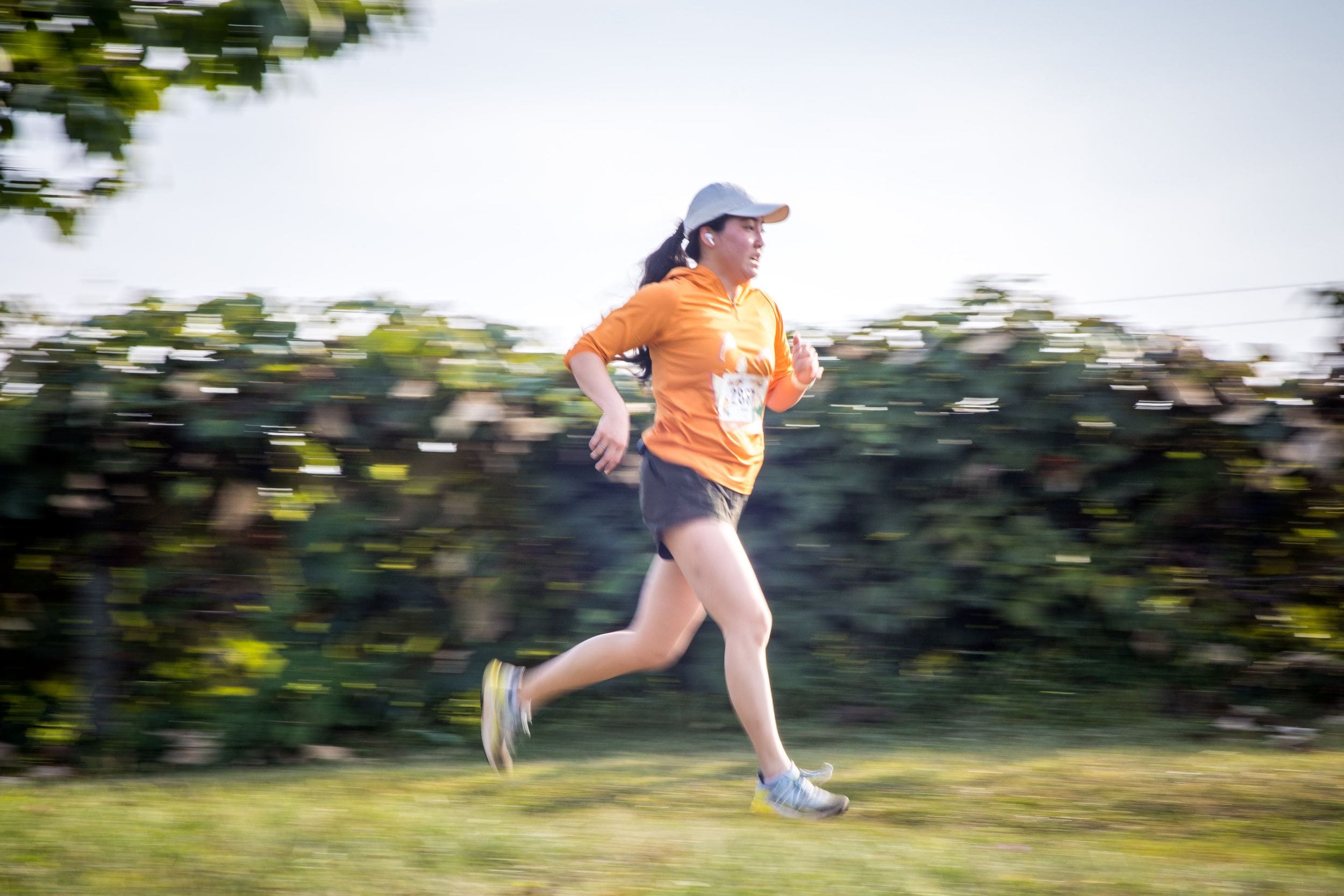 New Around Here? - Gourdys Pumpkin Run